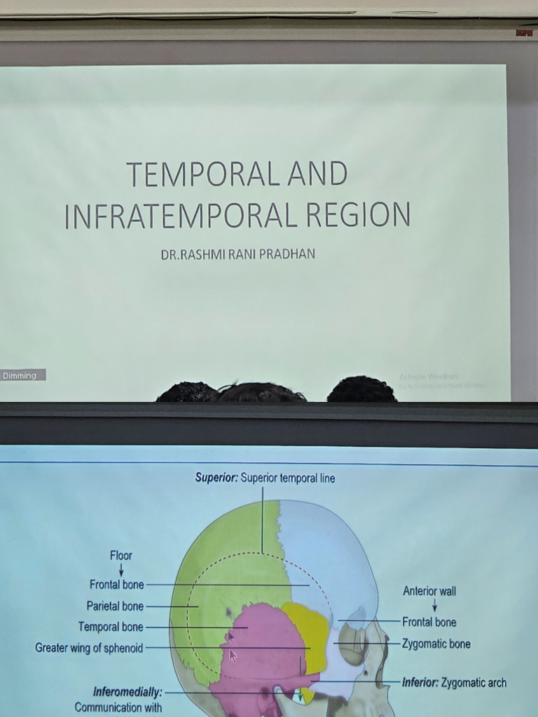 Temporal and Infratemporal Region | PDF