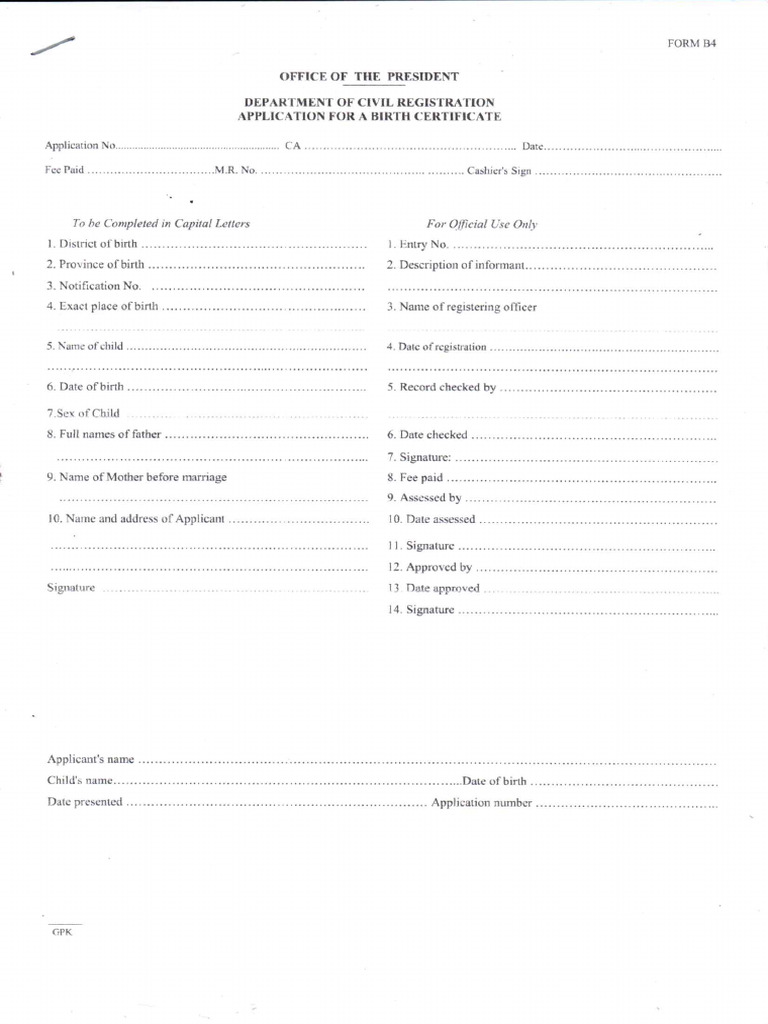 Application For Birth | PDF
