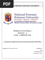 DI Form Under FEMA - Research | PDF | Economies | Business