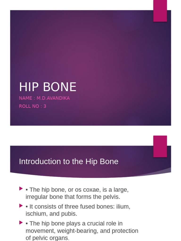Hip Bone Anatomy and Functions | PDF | Hip | Pelvis