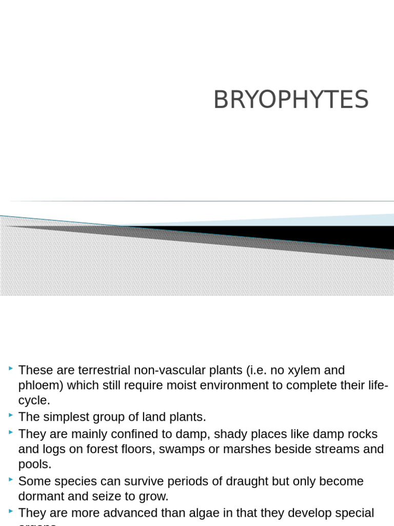 bryophytes | PDF | Moss | Sexual Reproduction