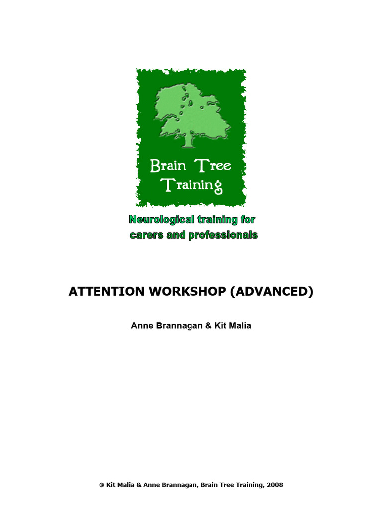 Advanced Attention Workshop | PDF | Attention | Executive Functions