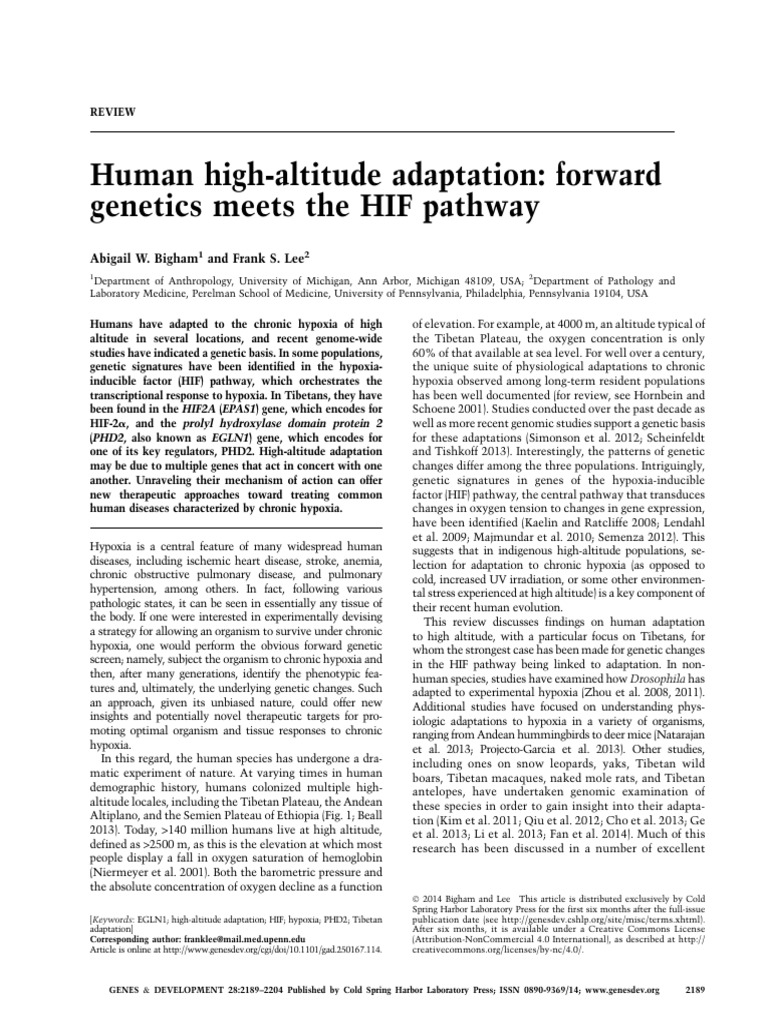 Human High-Altitude Adaptation - Forward Genetics Meets The HIF Pathway | PDF | Ubiquitin | Cell ...