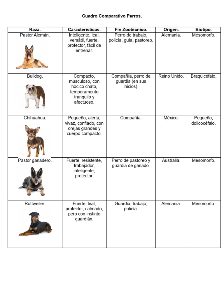 cuadro comparativo perros | PDF | Perros | Razas de perros
