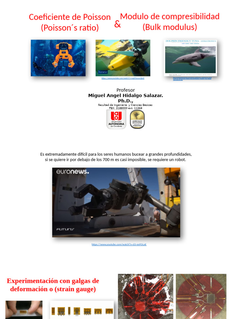 6 Coeficiente de Poisson Poissons ratio | PDF | Deformación (ingeniería ...