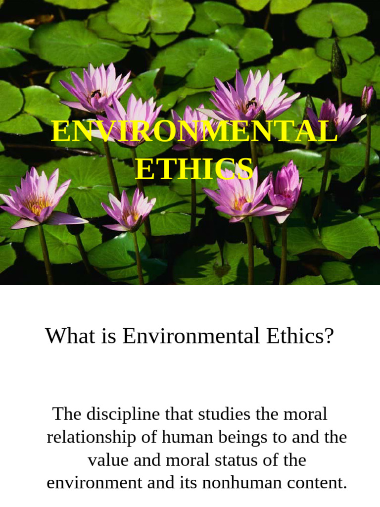 Environmental Ethics | PDF | Environmental Ethics | Liberal Arts Education