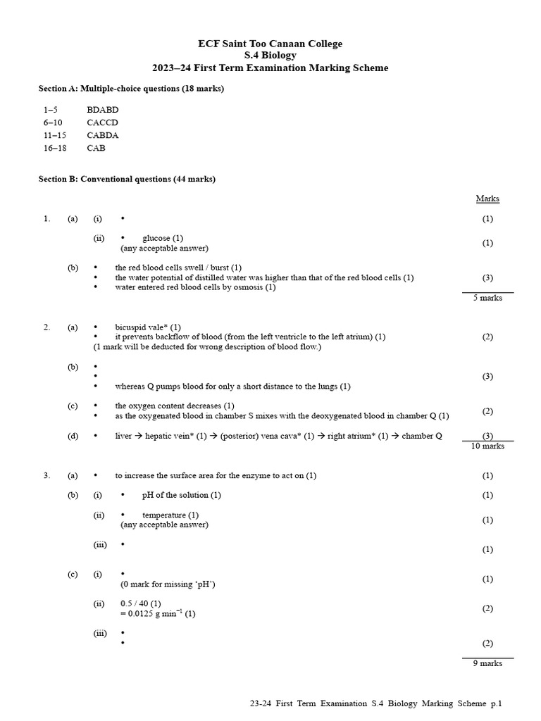 2324 - S4 - Bio - 1st Term Exam - MarkSch (CCM) | PDF | Leaf | Blood
