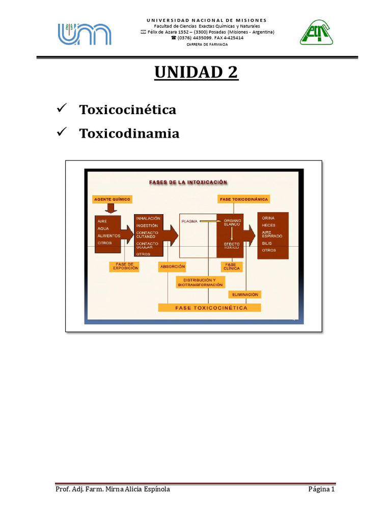 U 2 Toxicocinética y Toxicodinamia | PDF | Biotransformación | Toxicidad