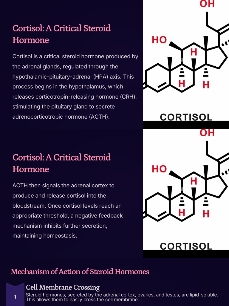 Cortisol A Critical Steroid Hormone | PDF | Adrenal Gland | Cortisol