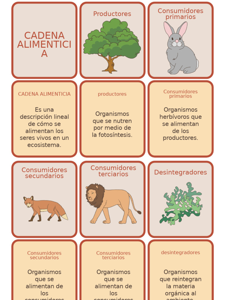 Entendiendo la Cadena Alimenticia | PDF