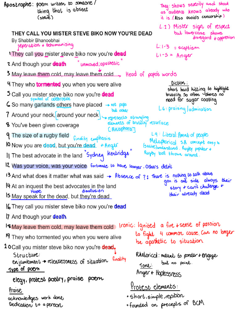 They Call You MR Steve Biko | PDF | Poetry