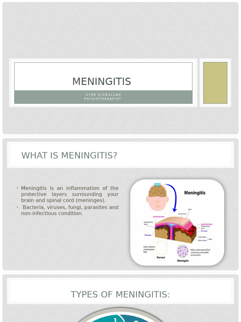 Understanding Meningitis: Types & Treatment | PDF | Meningitis ...