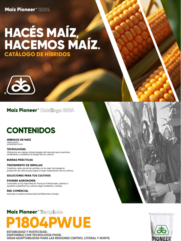 Catalogo Maizpioneer 2024 | PDF | Siembra | Bayer