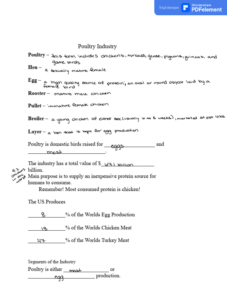 Poultry Industry Outline | PDF | Poultry | Chicken