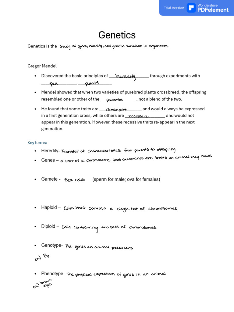 Genetics Outline.pdf | PDF | Gene | Genetics