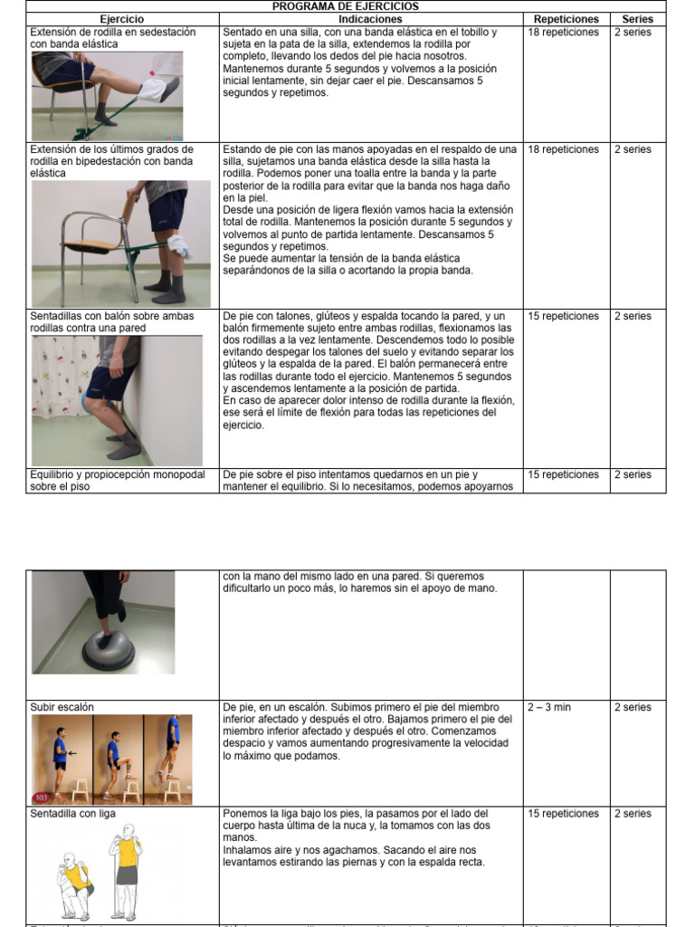 Programa de Ejercicios | PDF | Rodilla | Sistema musculoesquelético