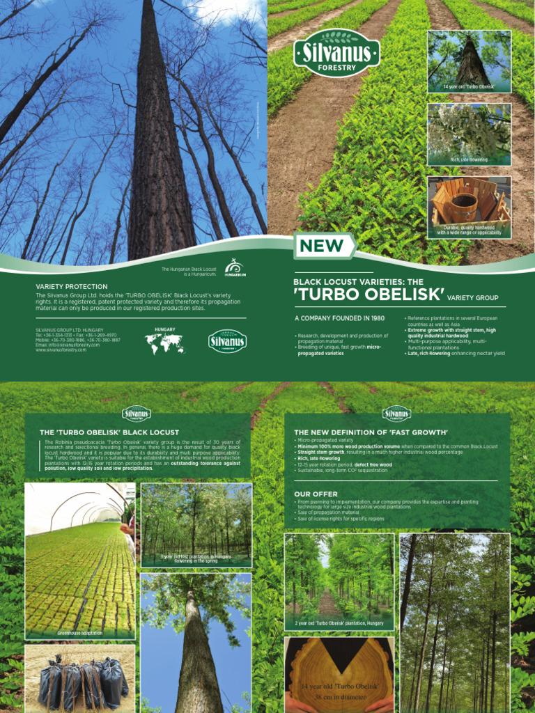 Brochure Silvanus Turbo Obelisk | PDF | Wood | Natural Environment