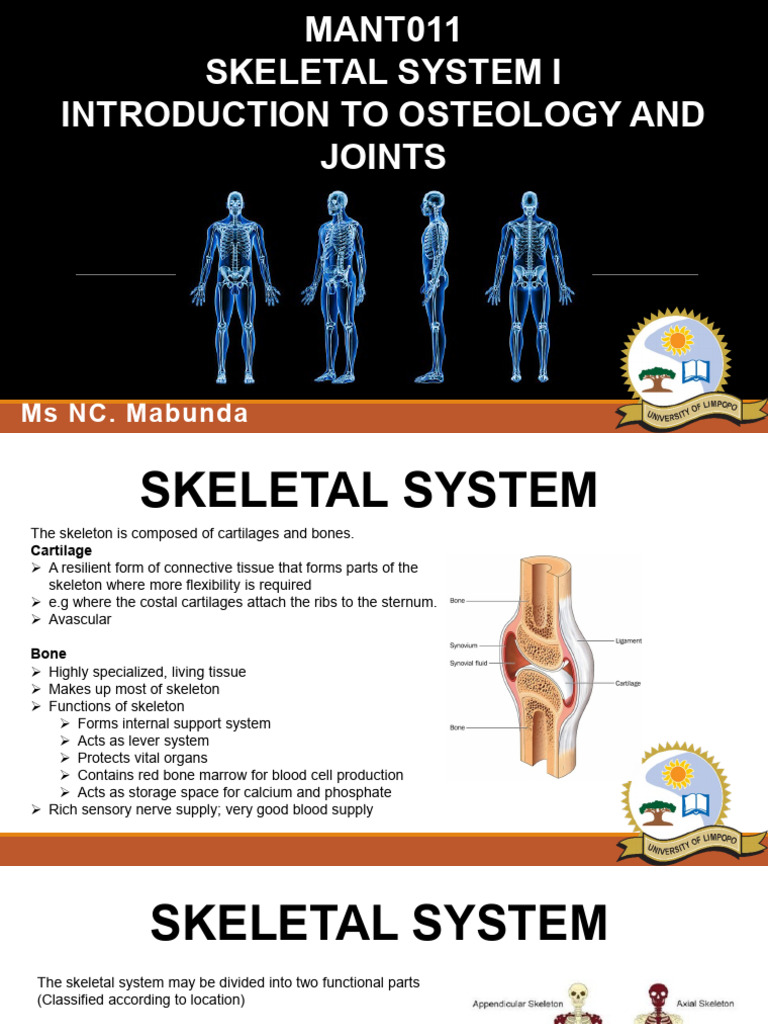 3 MANT011 - Skeletal System I - 250222 - 214249 | PDF | Skeleton ...