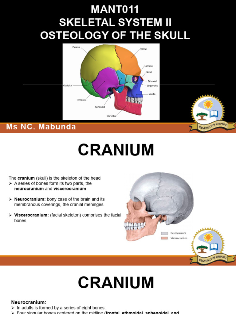 4. MANT011- Skeletal System II.pdf (1) | PDF | Skull | Primate Anatomy