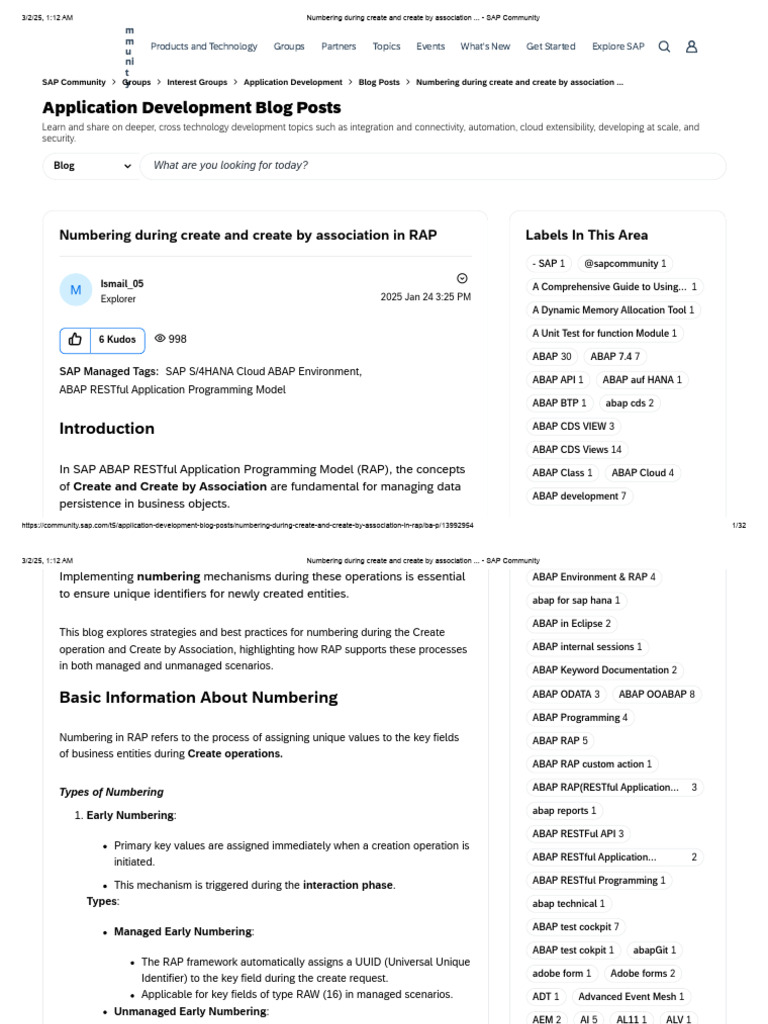 RAP Numbering Strategies Explained | PDF | Cloud Computing | Computing