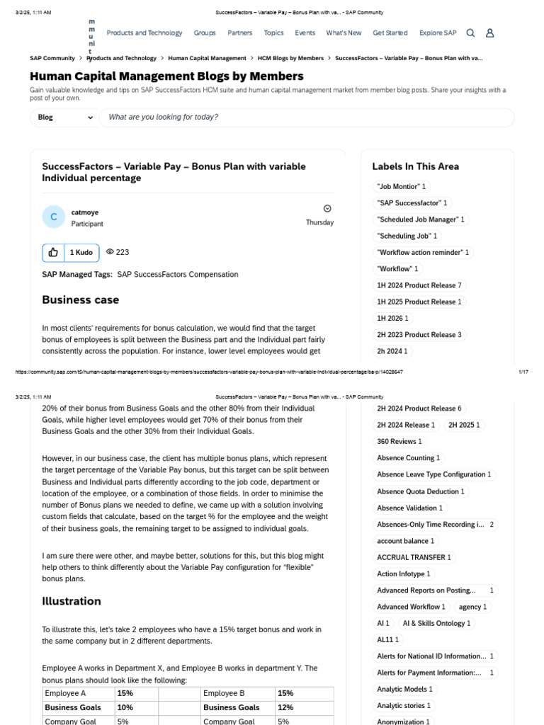 SuccessFactors - Variable Pay - Bonus Plan With Va... - SAP Community | PDF | Business | Human ...