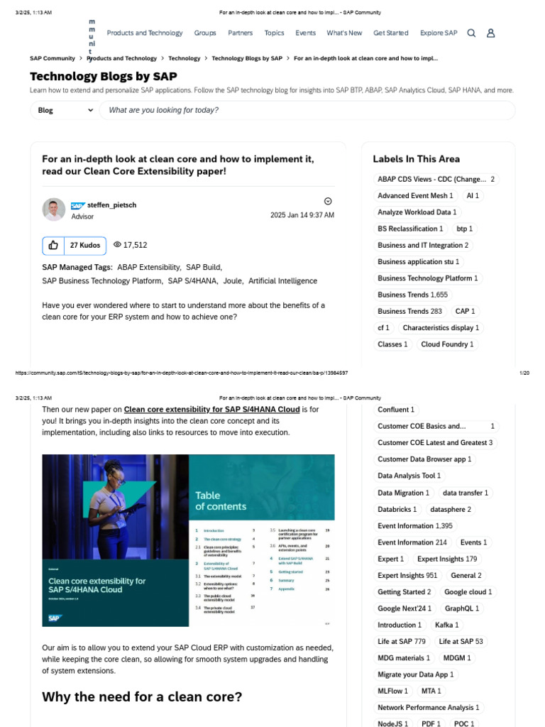 SAP Clean Core Extensibility Guide | PDF | Enterprise Resource Planning | Cloud Computing