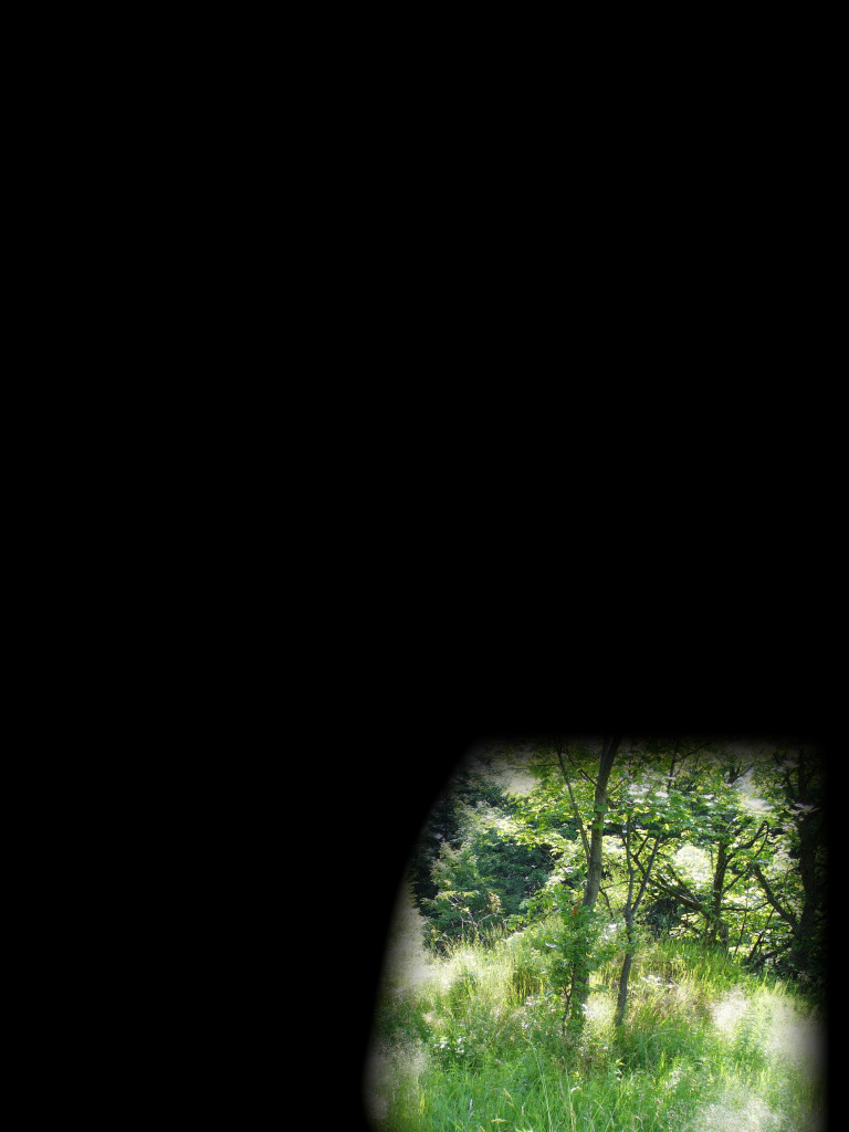 Braya (Presentation) | PDF