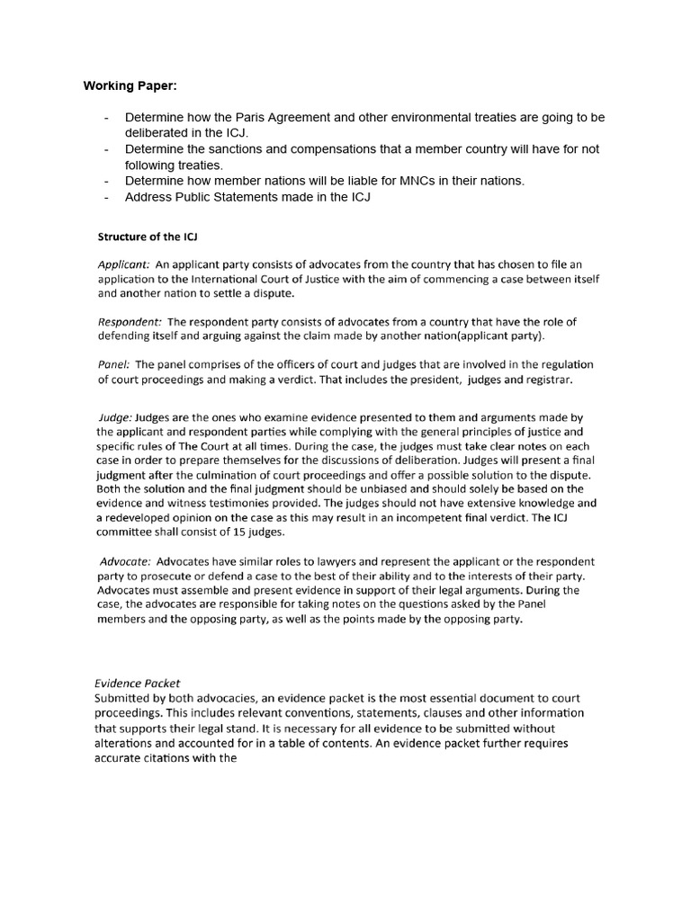 ICJ Format (1) | PDF