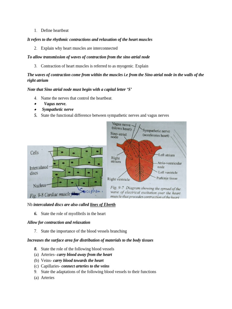 Define Heartbeat | PDF | Blood Type | Granulocyte
