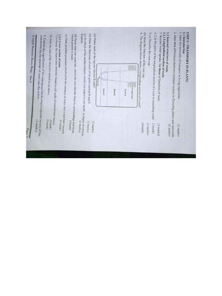 1 CC | PDF