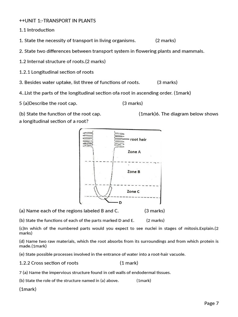 CamScanner Masterpiece Bio Ttansport Quiz | PDF | Stoma | Leaf