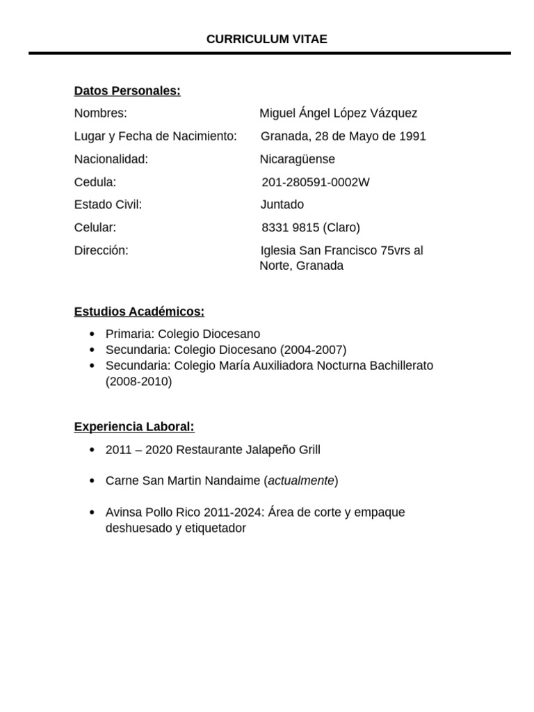 Modelo Curriculum | PDF