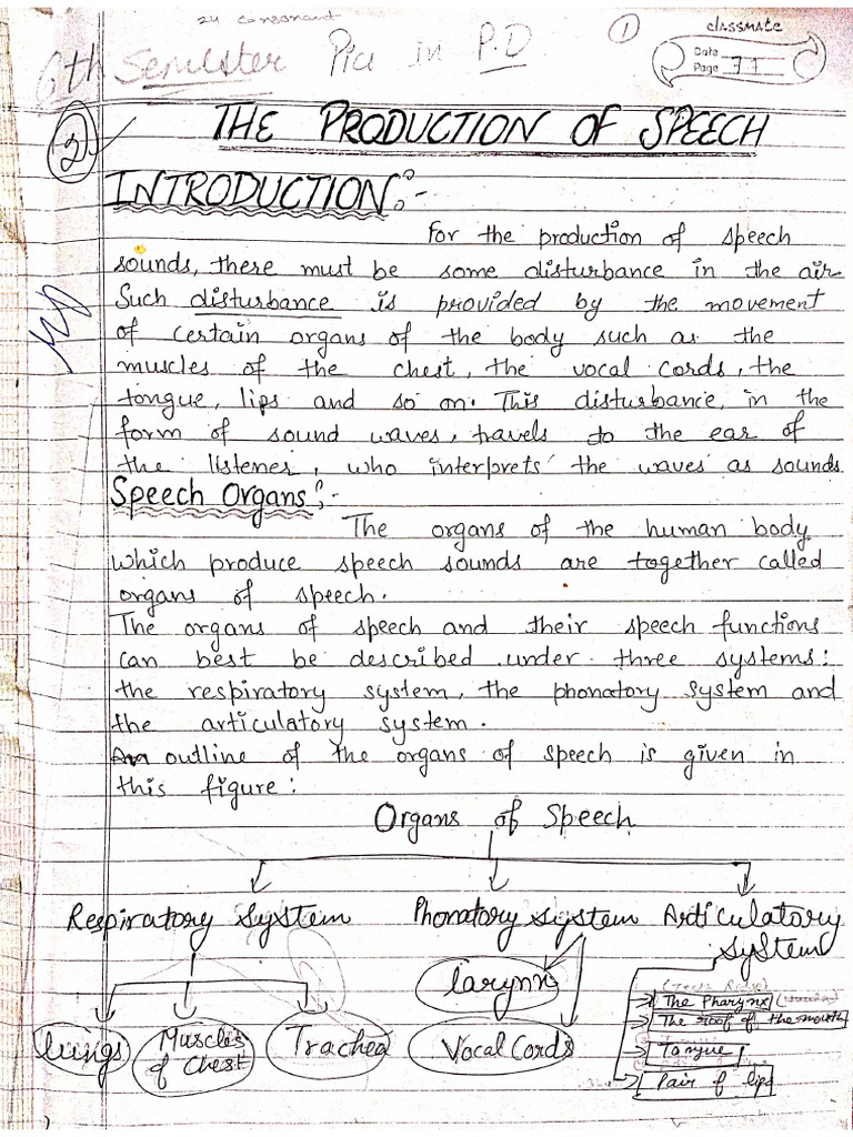 Phonetics (Sem-6th) | PDF