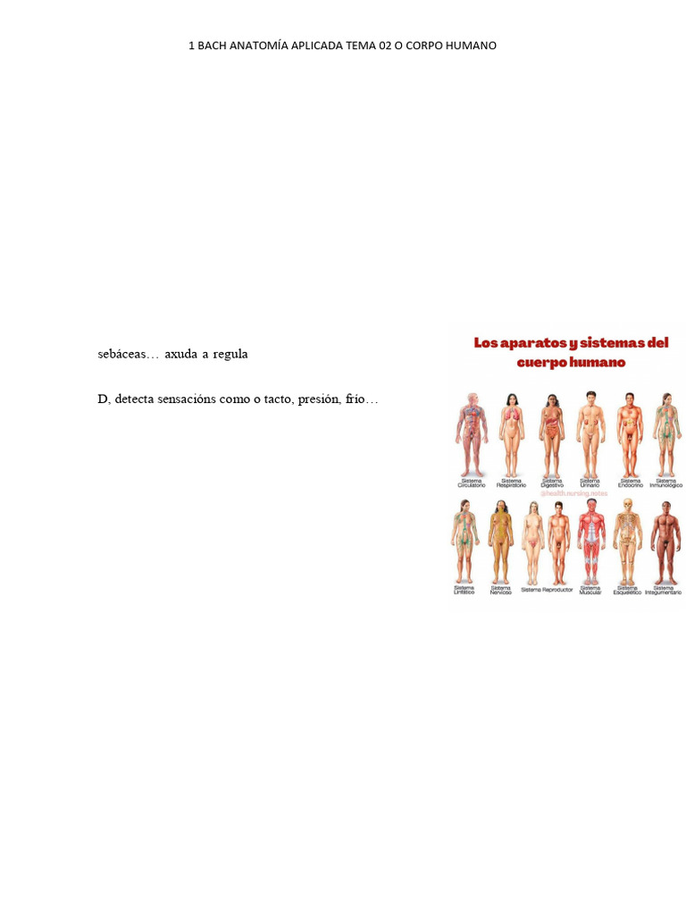 02 o Corpo Humano | PDF