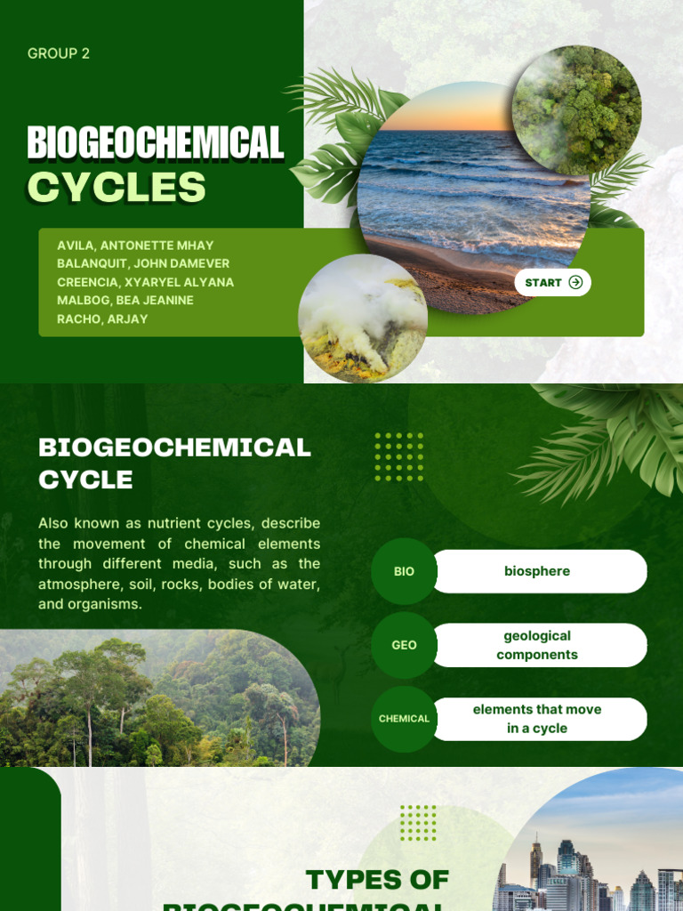 GROUP 2 - Biogeochemical Cycles - 20250218 - 061758 - 0000 | PDF | Rock ...