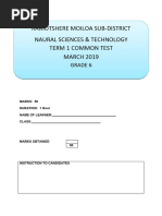 Insects: Grade 3 Lesson Plan | PDF | Insects | Phonics