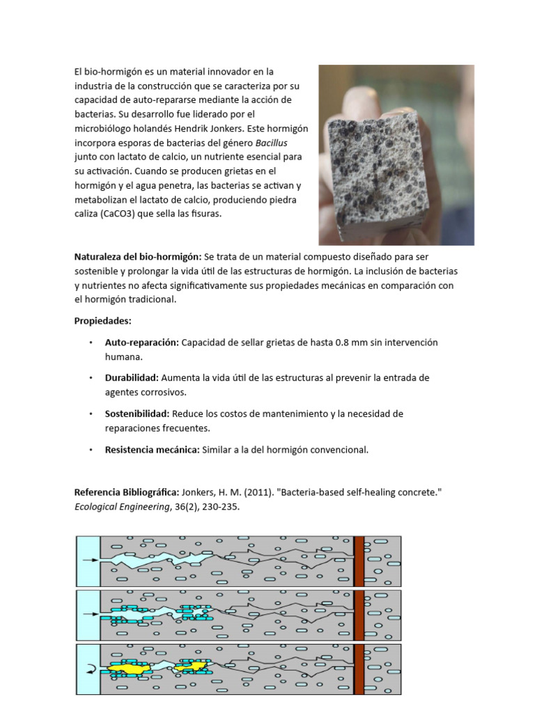 Bio Hormigon | PDF