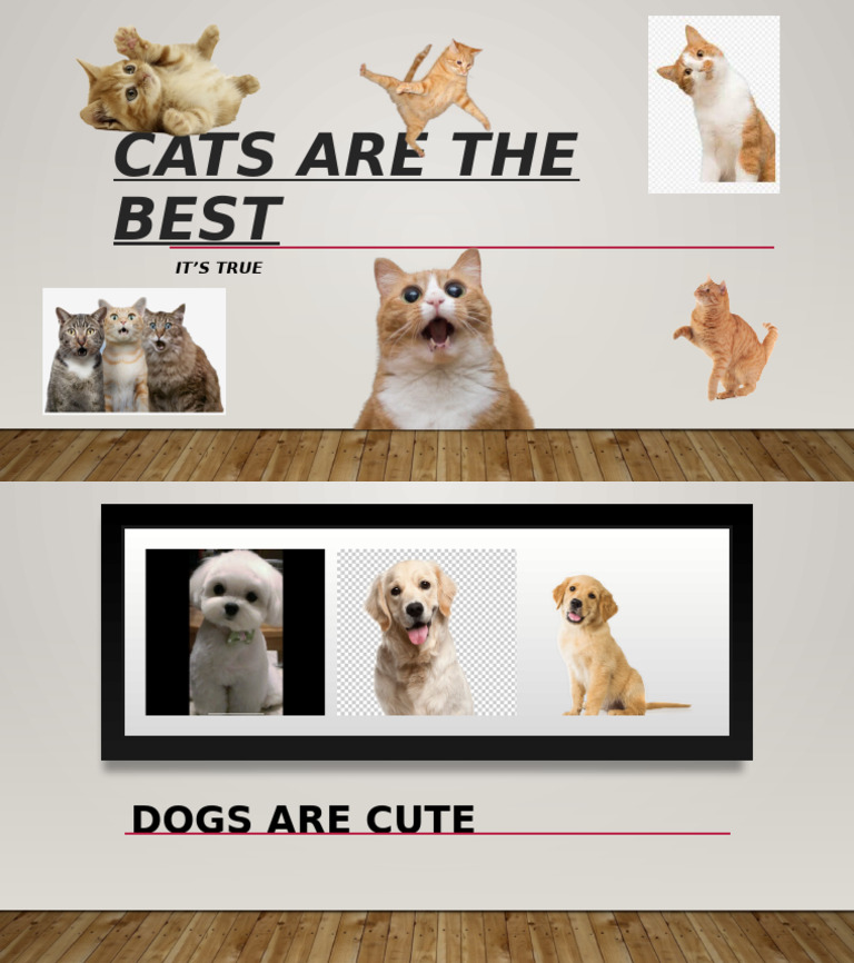 Presentation Its Raining Cats and Dogs | PDF