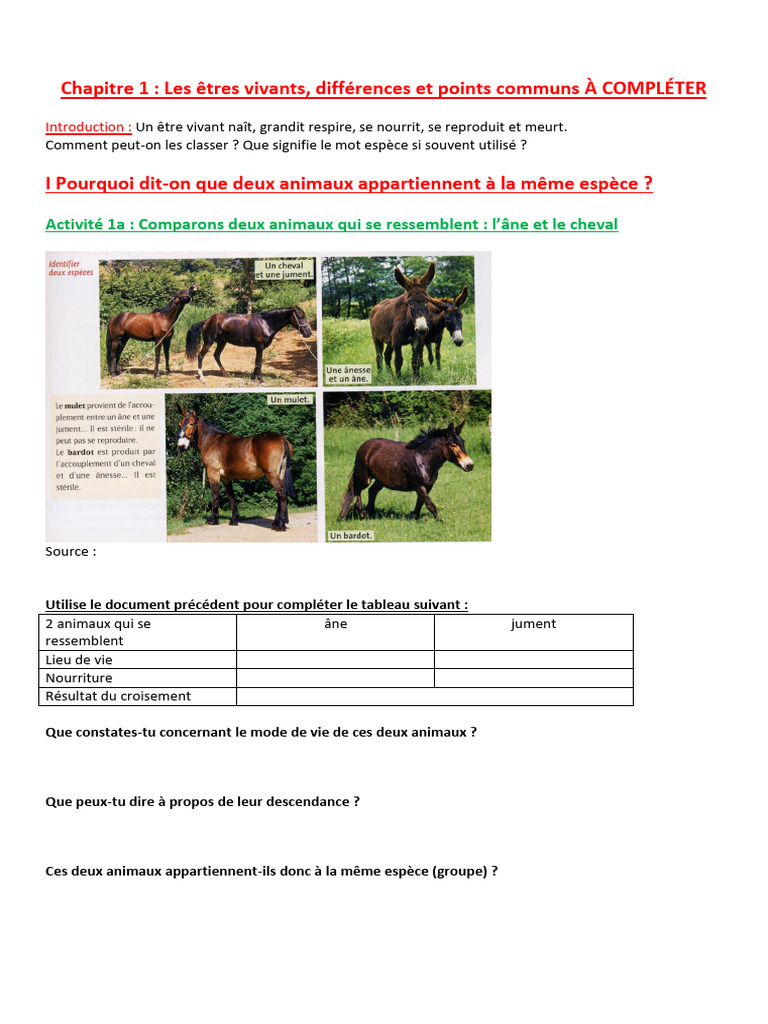 Points communs des êtres vivants | PDF | Cellule (Biologie) | Plantes