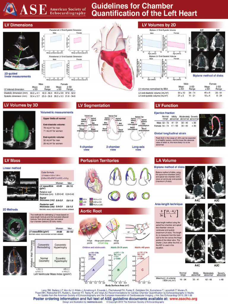 FINAL - CQ Left Heart Poster | PDF