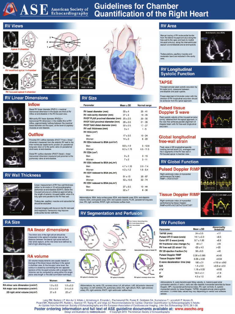 FINAL - CQ Right Heart Poster | PDF