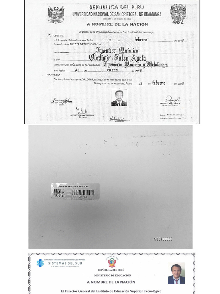 titulo profesional | PDF