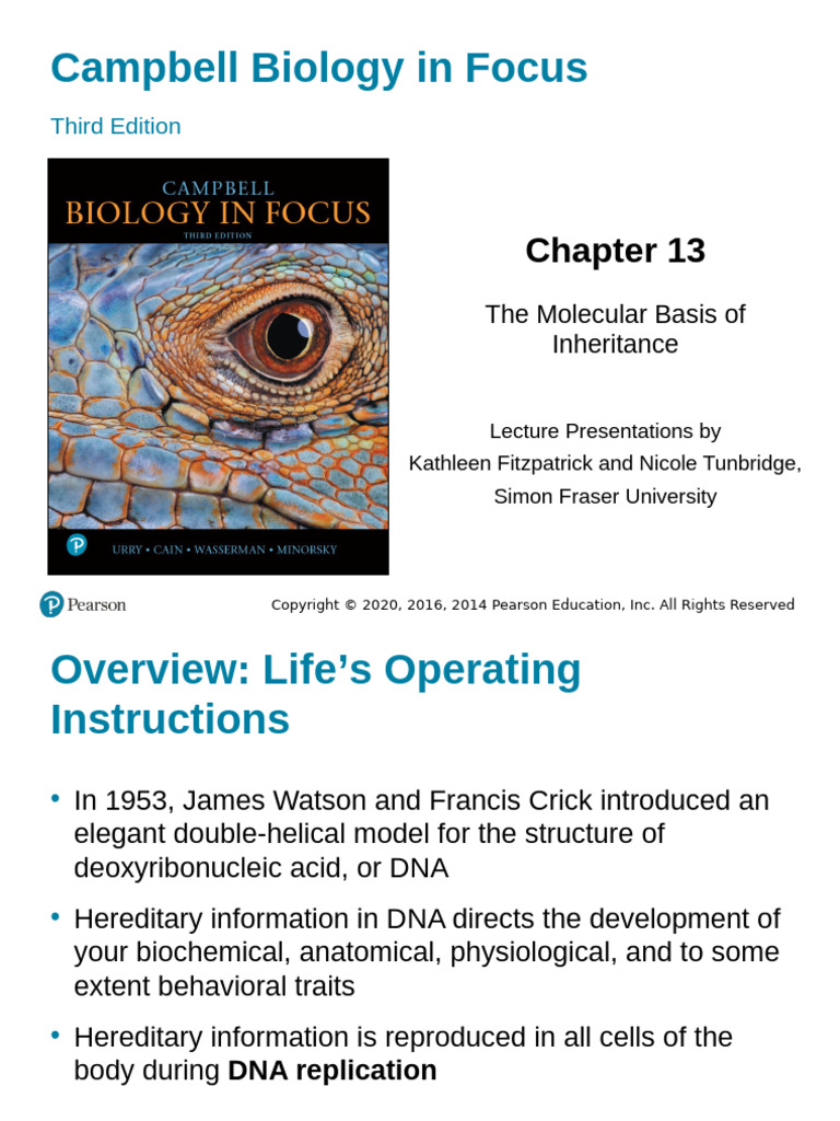 Chapter 13 DNA Structure and Replication (Autosaved) | PDF | Dna Replication | Molecular Cloning