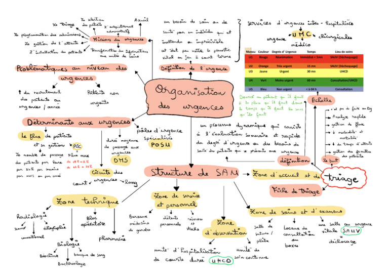 1-Organisation Des Urgences | PDF