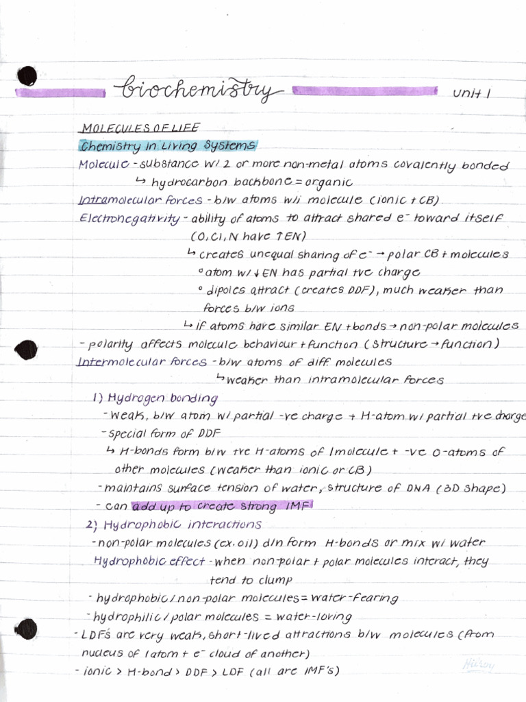 Grade 12 Biology Unit 1 Biochemistry Notes | PDF