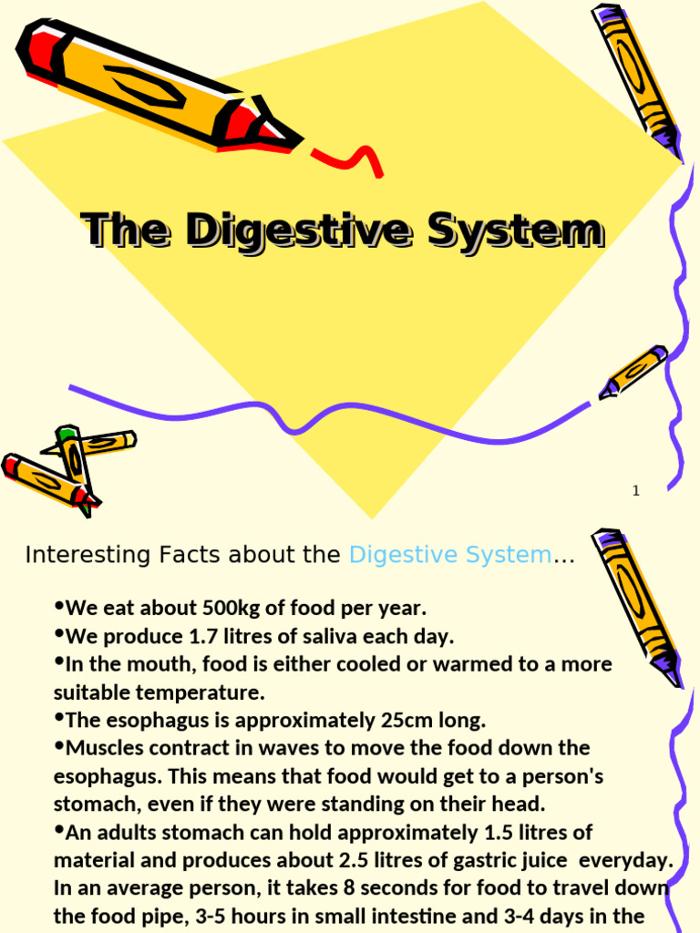 Ppt=Digestive System NOTES | PDF | Human Digestive System | Digestion