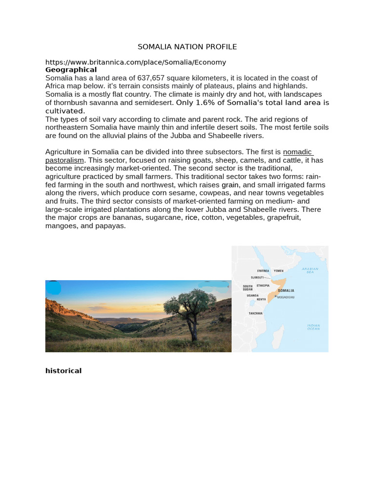 Somalia nation profile | PDF | Agriculture | Somalia