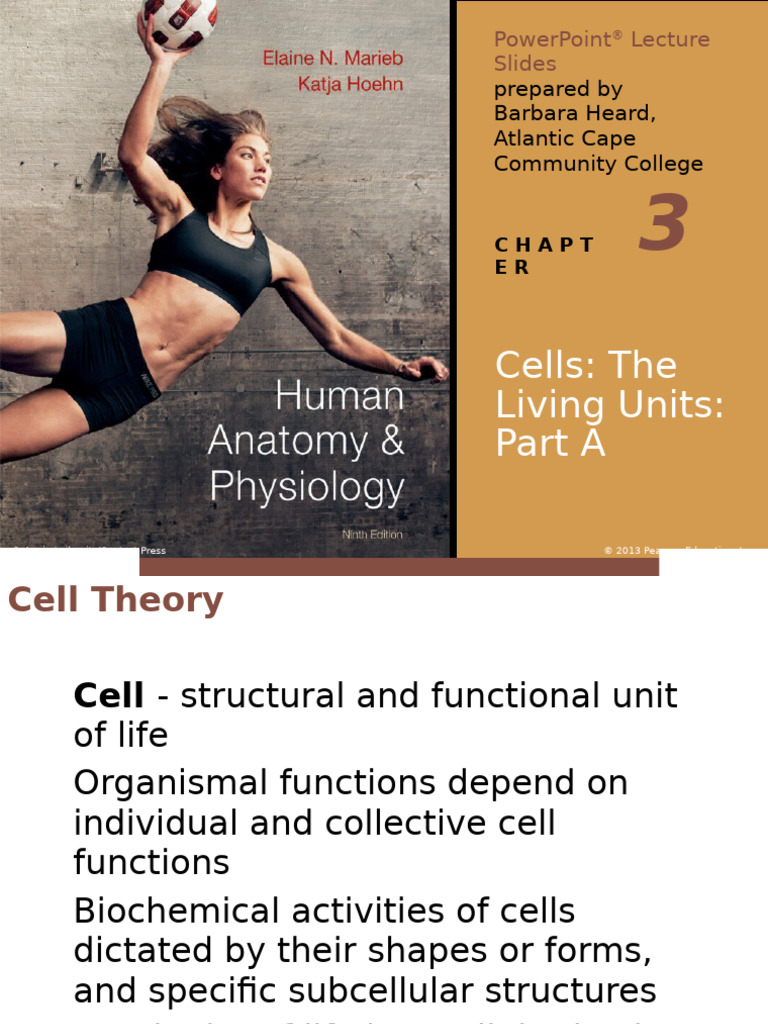 CH 03 Lecture Presentation A | PDF | Cell Membrane | Osmosis