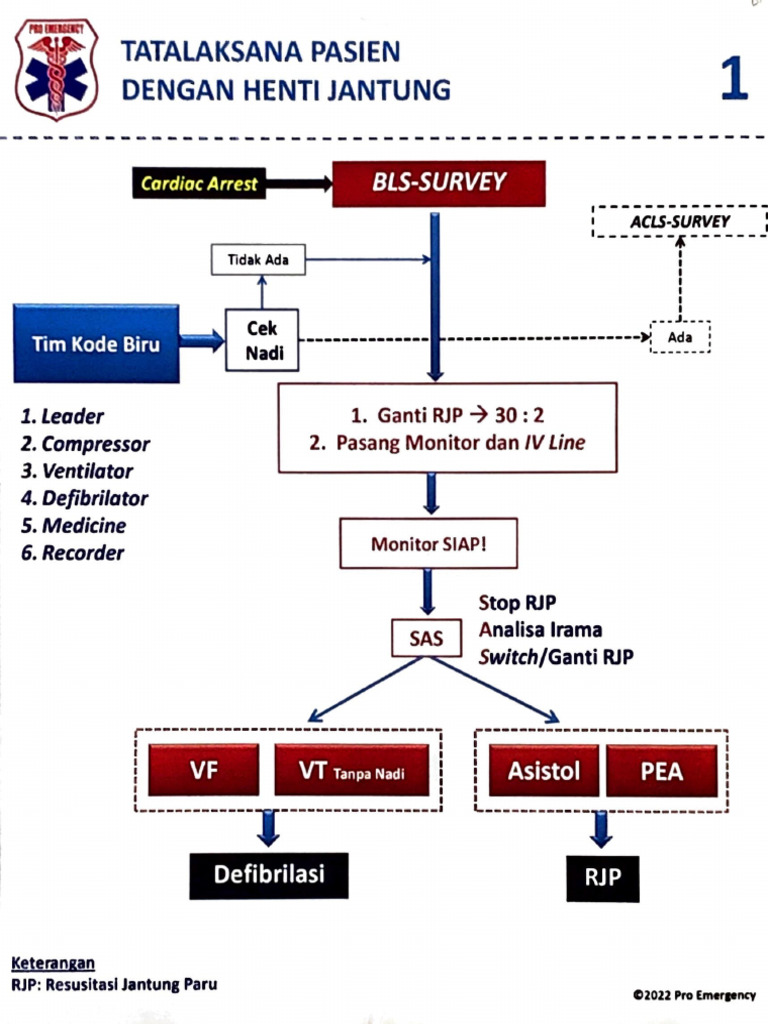 CPR & Cardiac Arrest Management | PDF