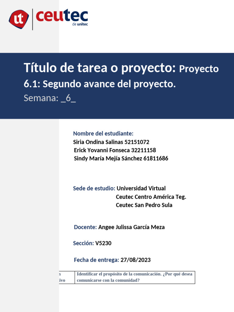 Segundo Avance-Gestion de La Comunicacion | PDF | Comunidad | Diseño
